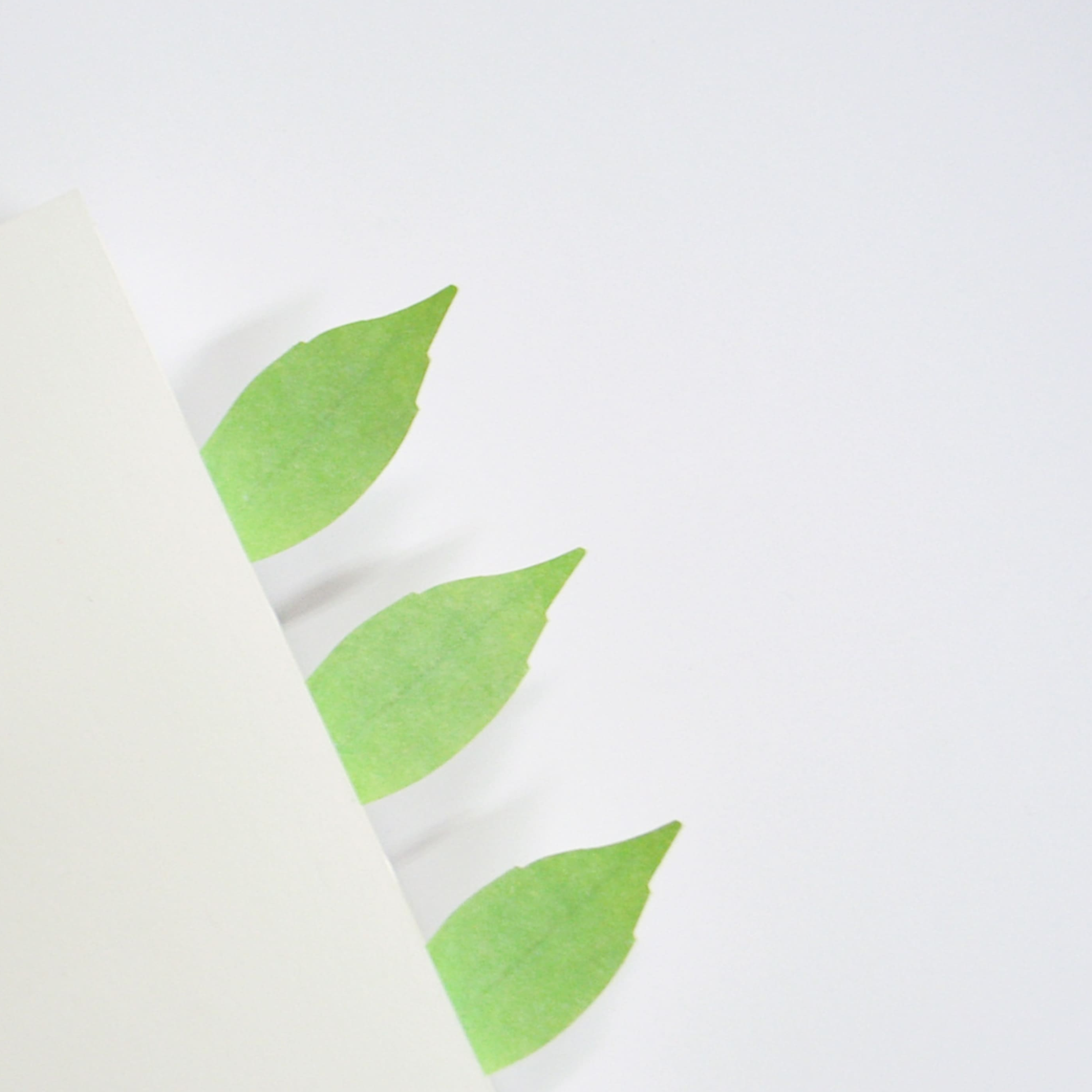 Sticky Leaf – TAISEI–SHIKI STORE